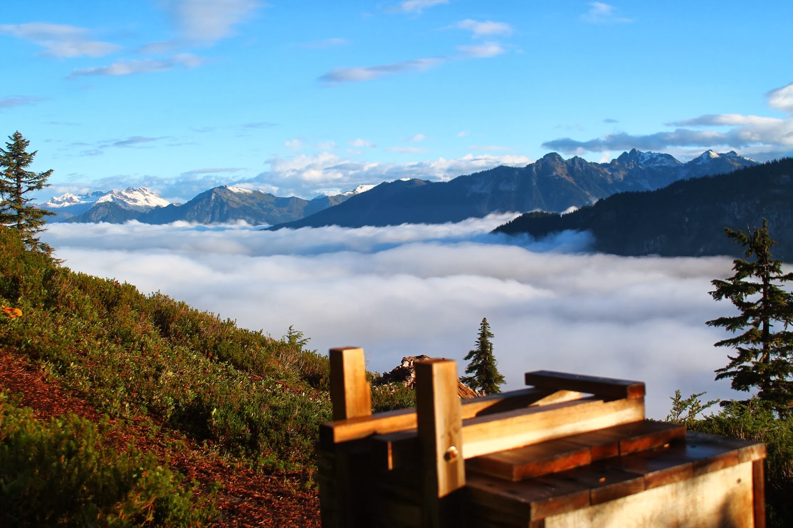 Comment faire caca dans les bois ? - Elinehiking